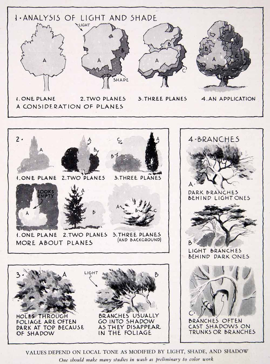 1943 Print Analysis Light Shadow Tree Foliage How To Art Branches Trun ...