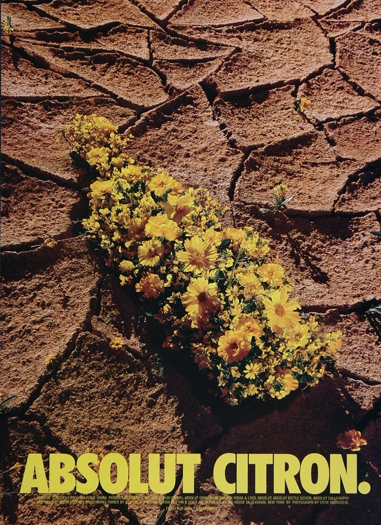 1998 Ad Absolut Citron Vodka Desert Flowers Bronstein - ORIGINAL ABS1 ...