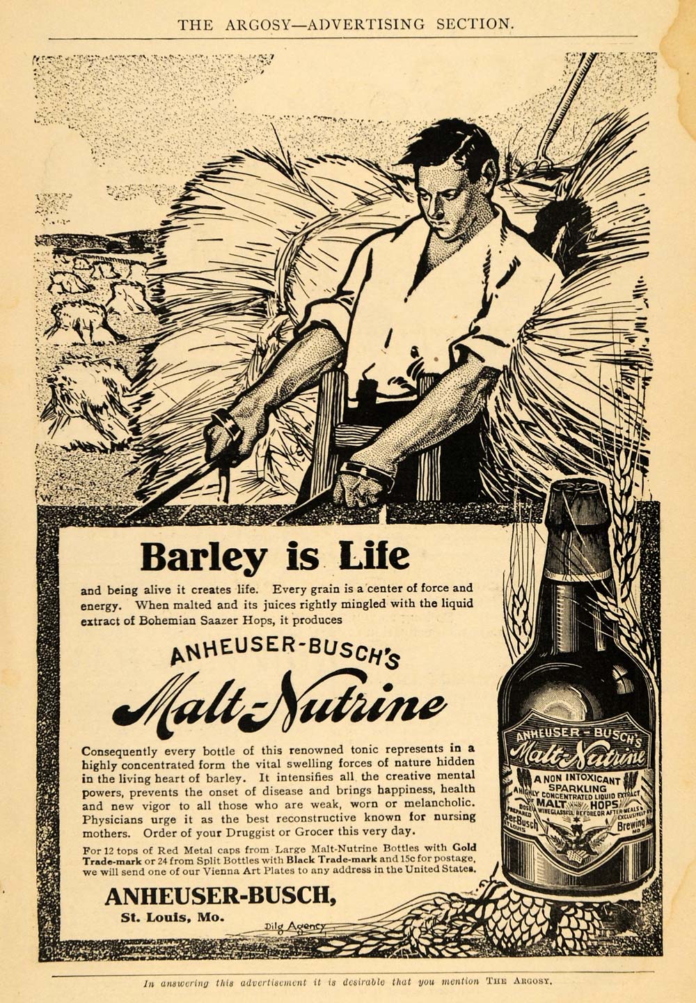 1908 Ad Anheuser Busch Malt Nutrine Extract Tonic Bottle Farming ARG1 ...