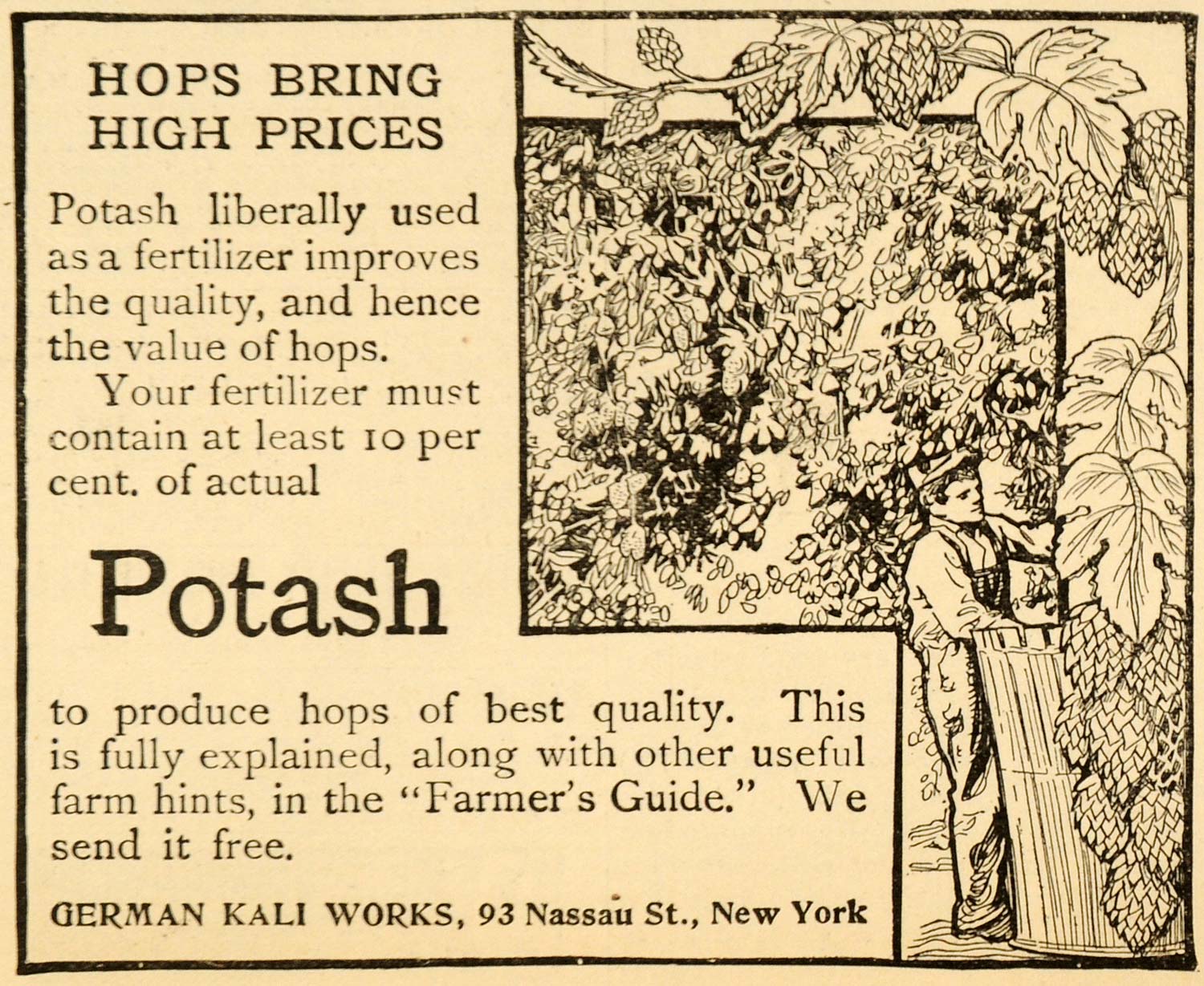 1907 Ad Hops Potash Fertilizer German Kali Works Farm - ORIGINAL ADVER ...