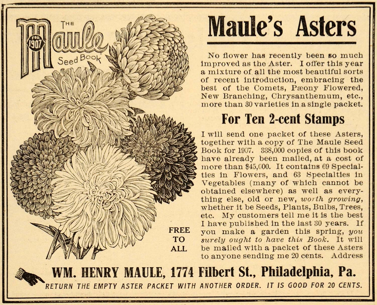 1907 Ad William Henry Maule Seed Book Asters Flowers - ORIGINAL ADVERT ...