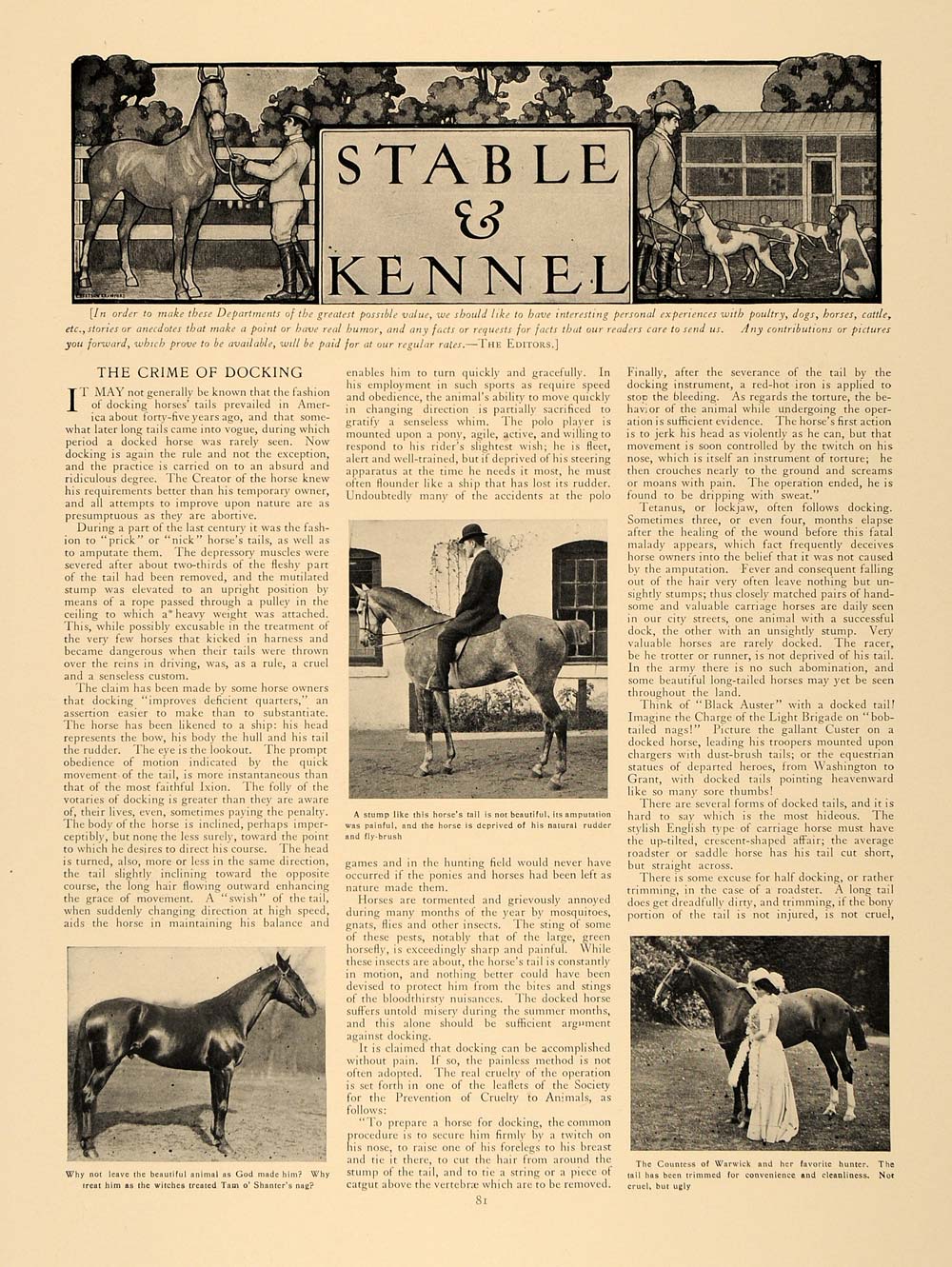 1907 Article Horse Tail Docking Dachshunds Teakwood - ORIGINAL CL5 ...