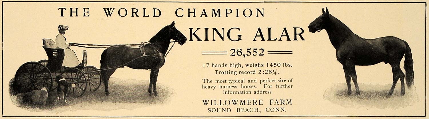 1906 Ad World Champ King Alar Horse Willowmere Farm - ORIGINAL ADVERTI – Period Paper Historic ...