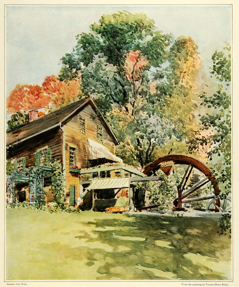 Old Water Mill Paintings