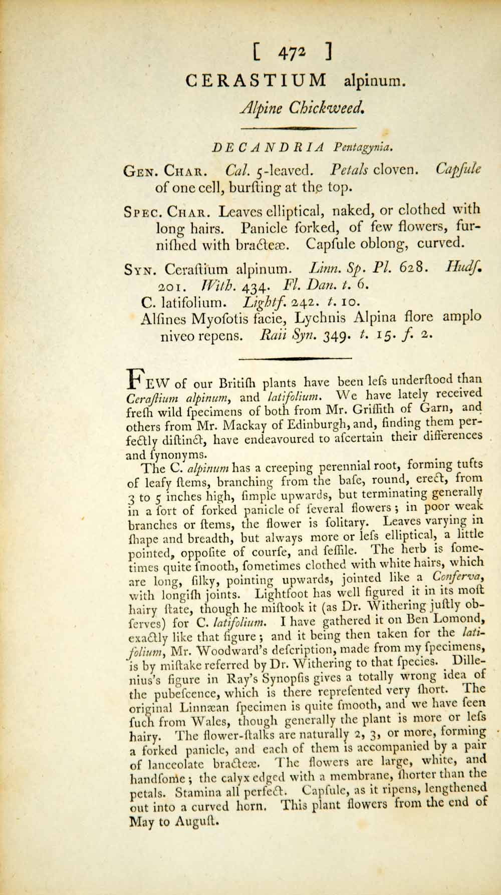 1798 Copper Engraving Hand-Painted Cerastium Alpine Mouse-Ear Chickwee ...