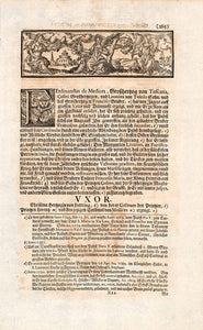 1721 Copper Engraving Ferdinando I Medici Grand Duke Tuscany Italy Art ...