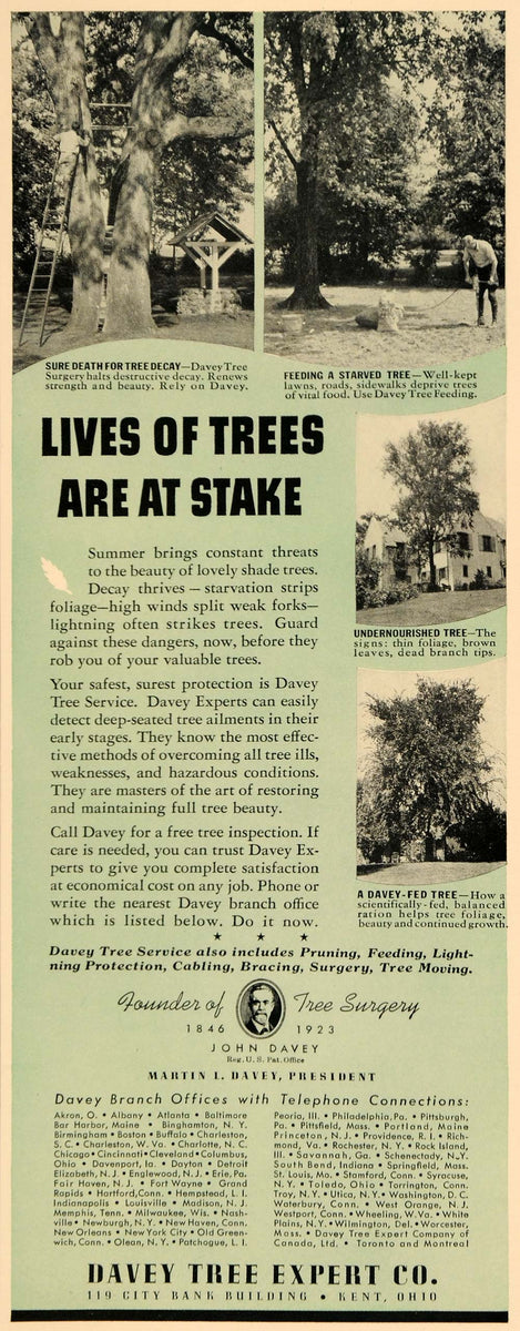 1940 Ad Davey Tree Surgery Feeding Landscaping Foliage - ORIGINAL F4B ...
