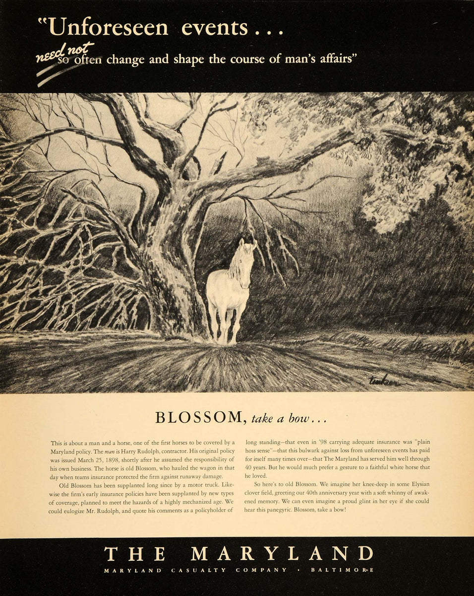 1938 Ad Maryland Casualty Horse Blossom Harry Rudolph - ORIGINAL FTT9 ...