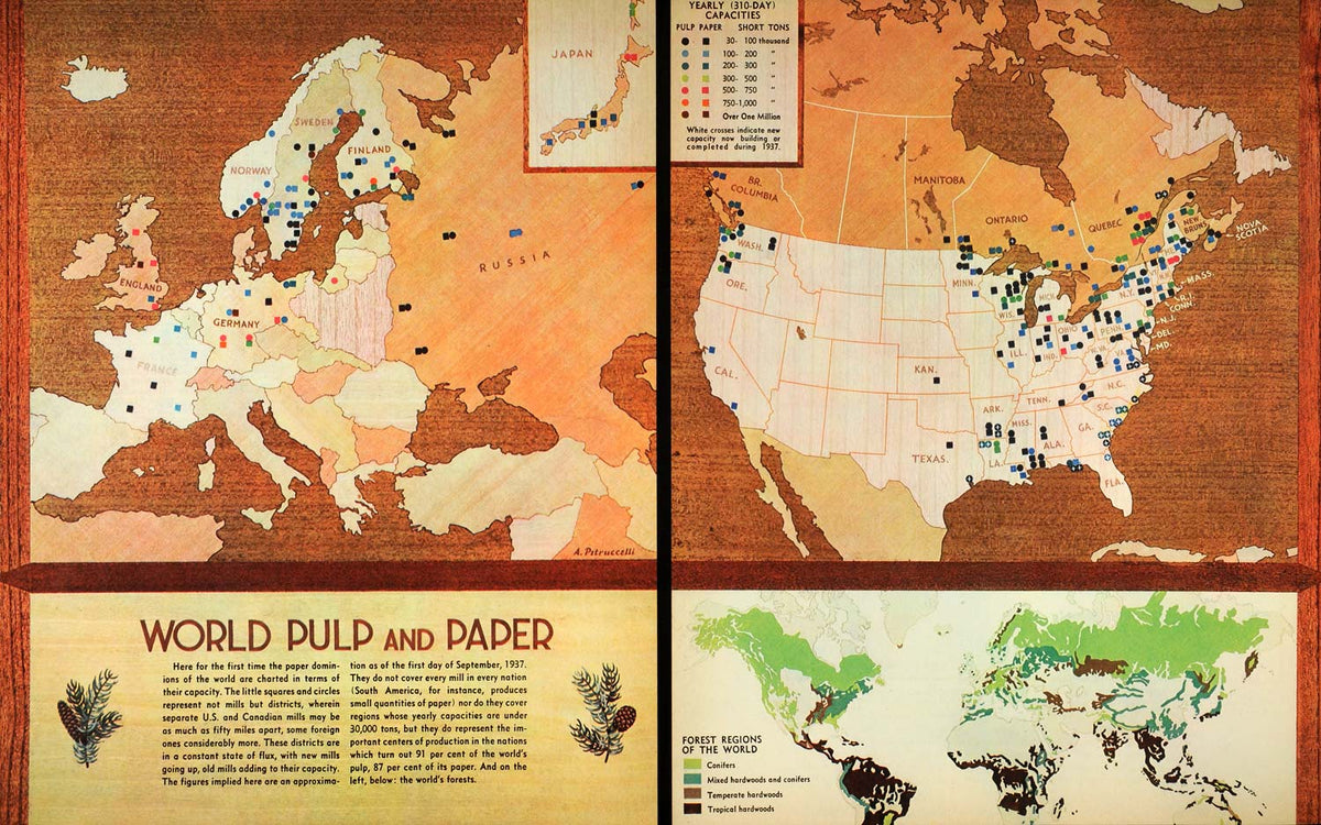 1937 Print Map World Pulp Paper Petruccelli Forest Conifer Industry FZ ...