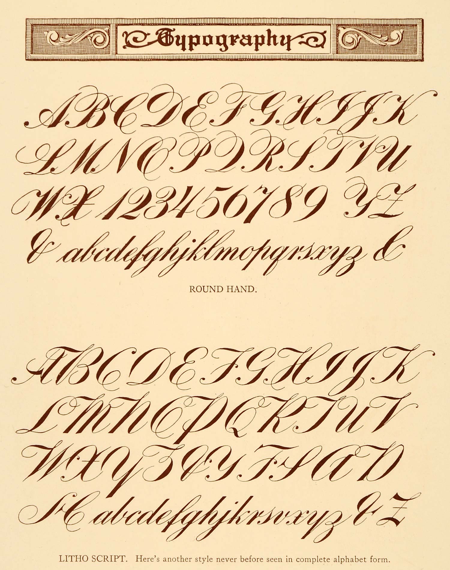 Typography Alphabet Script