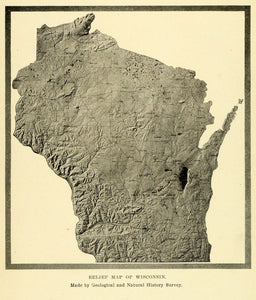 1913 Print Wisconsin Relief Map Geologic Natural History Topography Ca ...