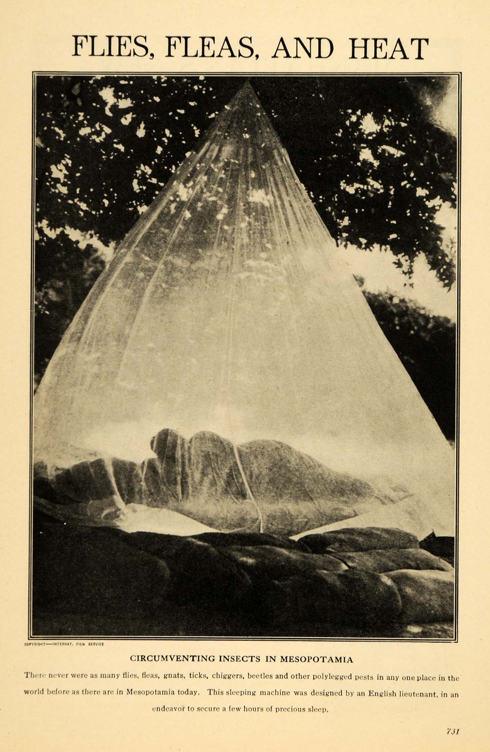 1917 Print Flies Fleas Mesopotamia Iraq Syria Turkey - ORIGINAL HISTOR ...