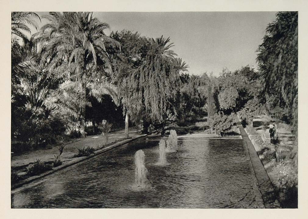 1937 Bagh-e Golshan Oasis Pool Dasht-e Lut Desert Iran - ORIGINAL IR1 ...