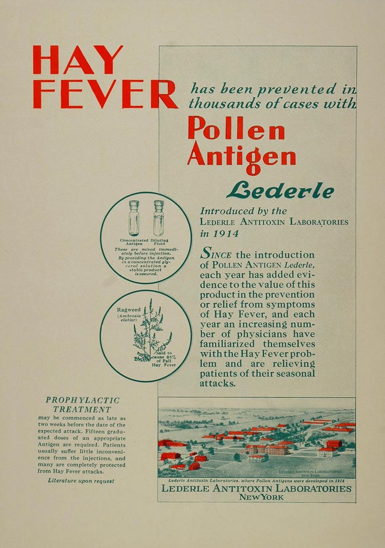 1929 Ad Hay Fever Antigen Lederle Allergies Ragweed - ORIGINAL ADVERTI ...