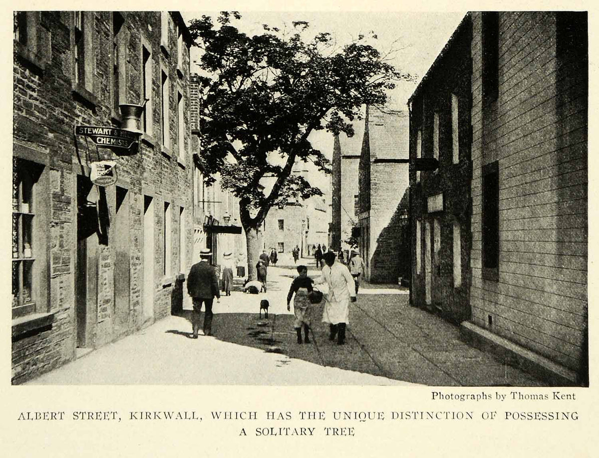 1921 Print Albert Street Scene Kirkwall Orkney Islands Scotland Citysc ...