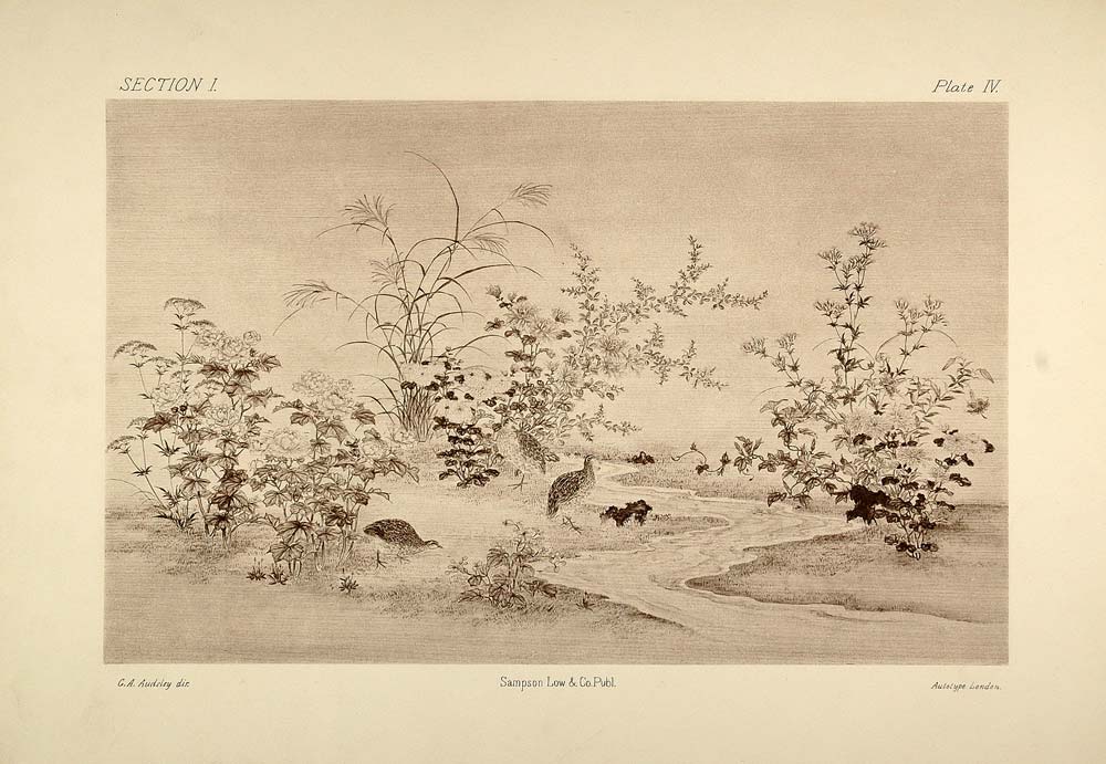 1883 Autotype Japanese Wood Ink Drawing Birds Landscape - ORIGINAL OJ1 ...