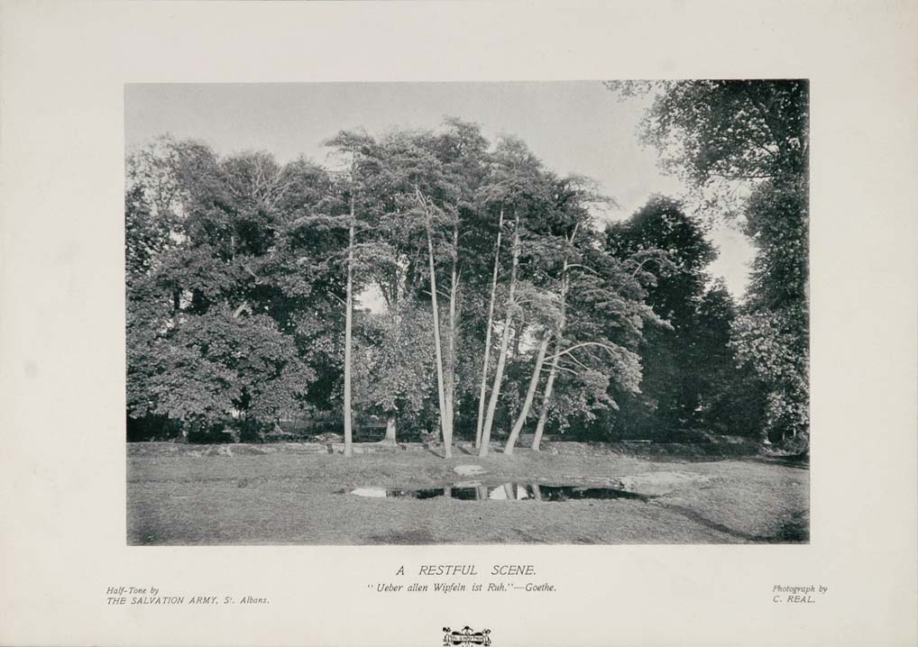 1904 Original Print Landscape Trees Goethe C. Real - ORIGINAL – Period ...