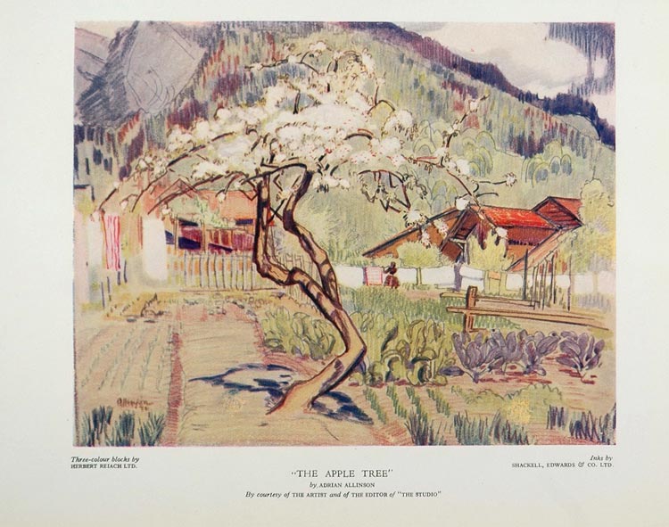 1933 Color Print The Apple Tree Adrian Allinson - ORIGINAL – Period ...