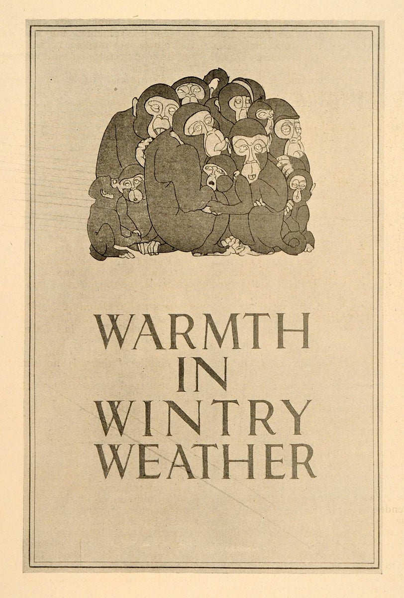 1927 Monkeys Monkey J. J. M. McNolty Cover Design Print ORIGINAL HISTO ...