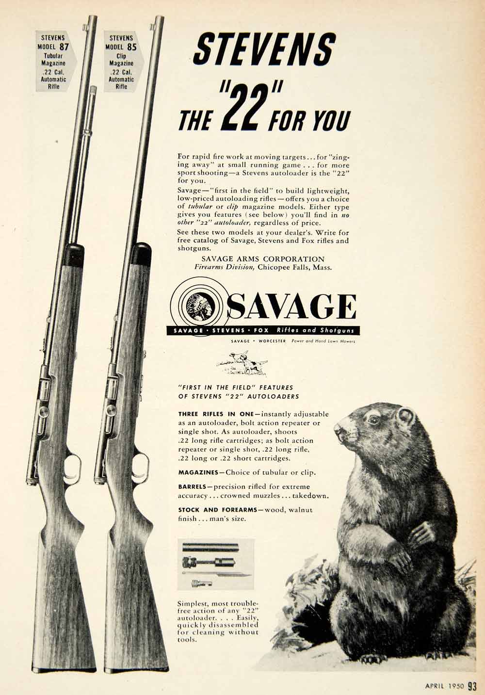 Stevens 22 Rifle