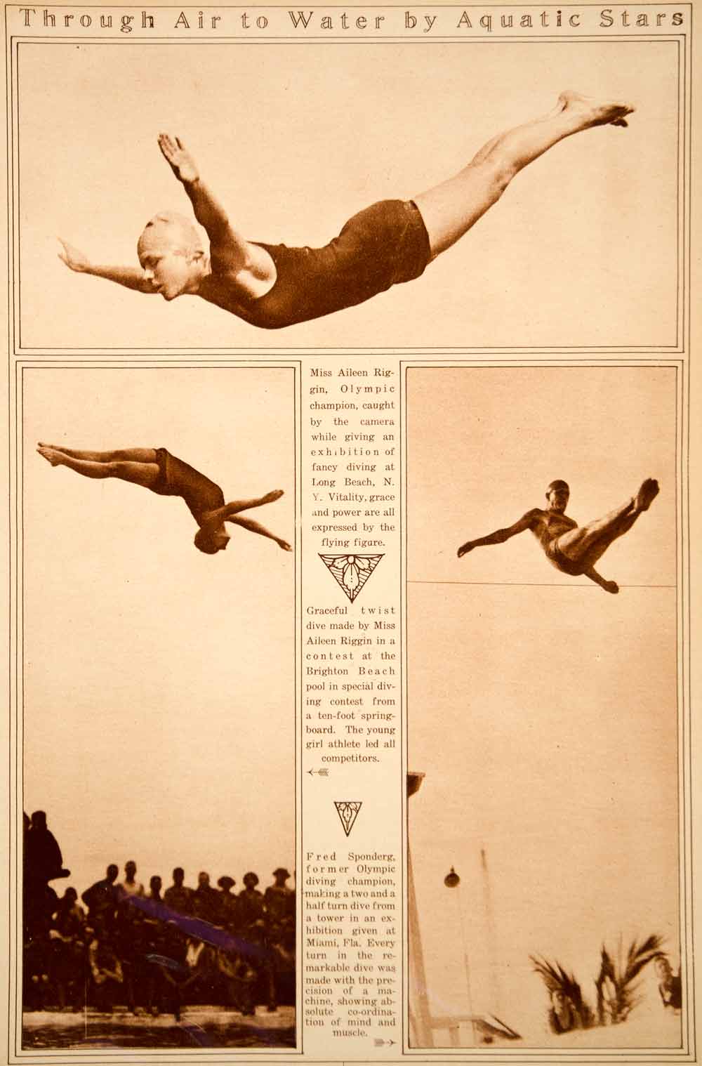 1923 Rotogravure Olympic Diving Aileen Riggin Fred Sponderg Champion D ...