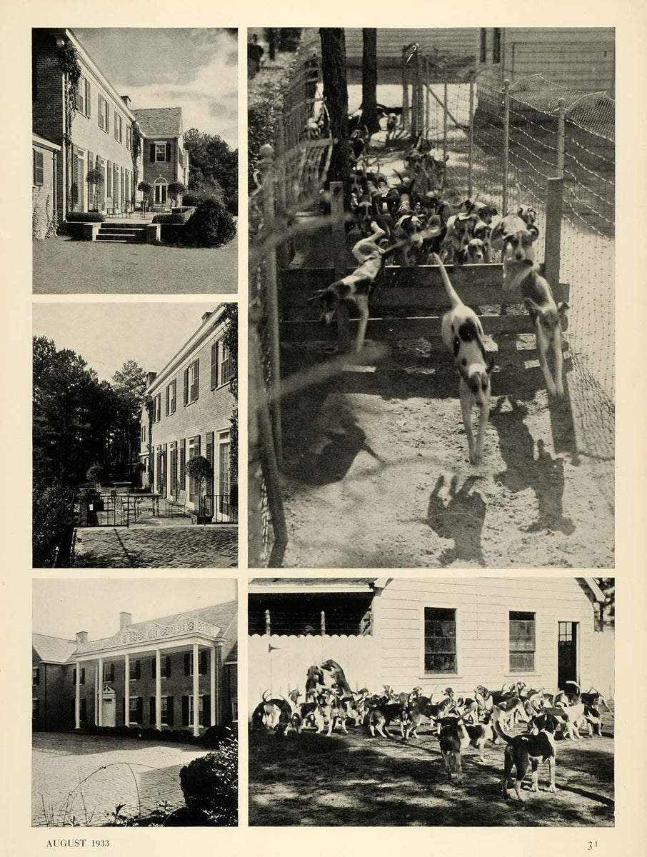 1933 Article Sandy Wood North Carolina Verner Reed Dogs - ORIGINAL SPM ...