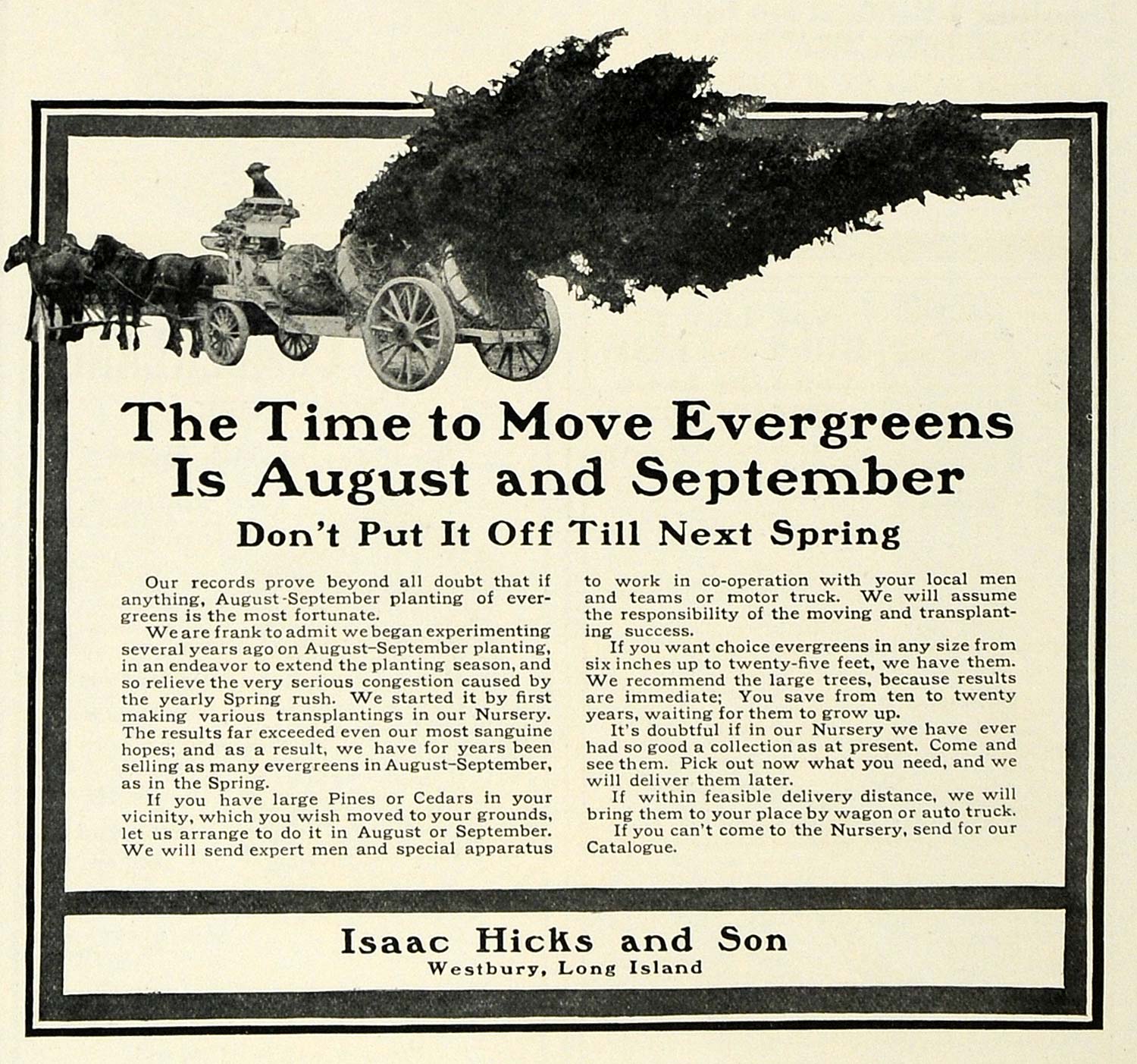 1913 Ad Evergreen Moving Isaac Hicks Westbury New York - ORIGINAL SUB1 ...