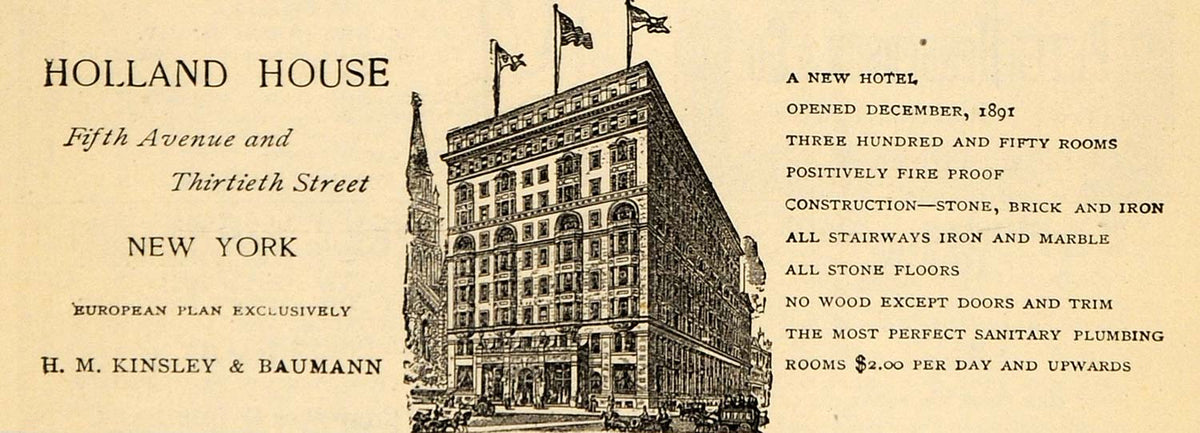 1895 Ad Holland House Hotel Fifth Avenue New York Stone - ORIGINAL TFO ...