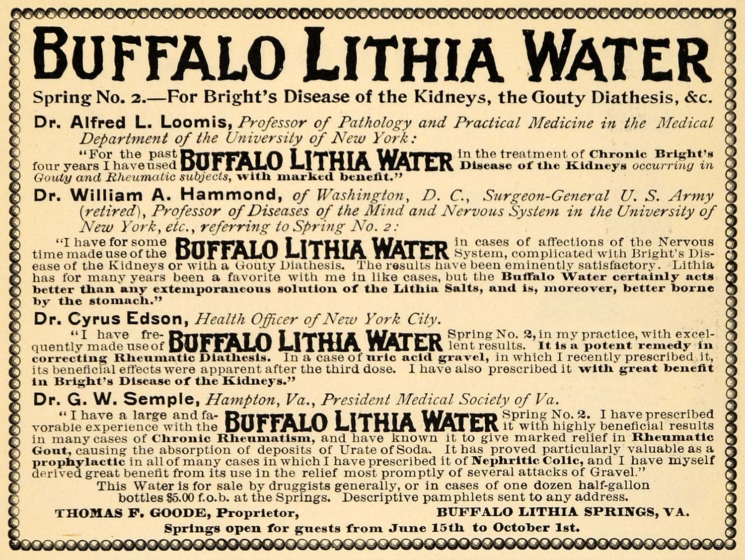 1895 Ad Buffalo Lithia Springs Drinking Water Medicinal - ORIGINAL TFO ...