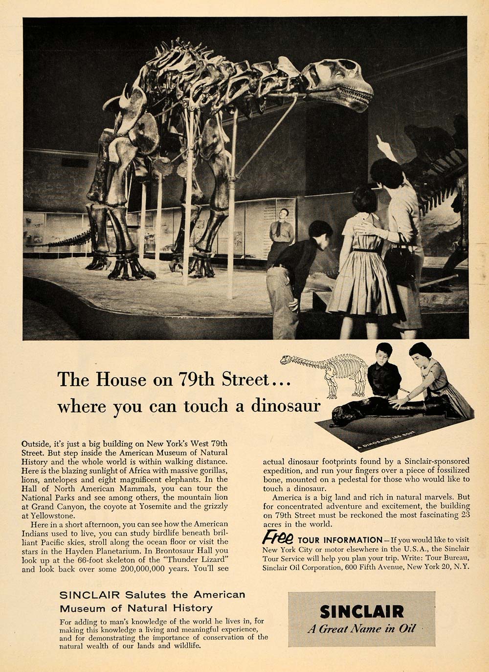 1955 Ad Sinclair Oil American Museum History Dinosaur - ORIGINAL ADVER ...