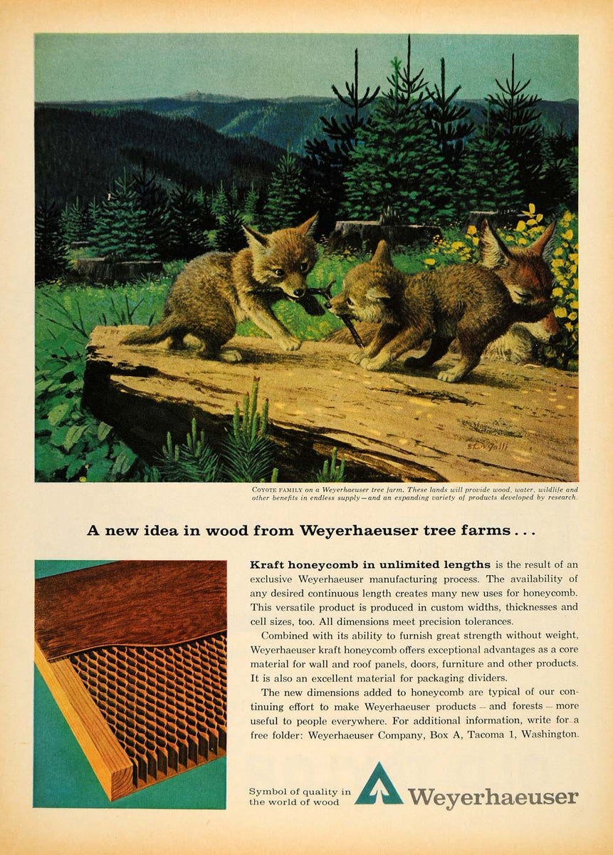 1963 Ad Weyerhaeuser Company Wood Farm Products Tacoma - ORIGINAL TM7 ...