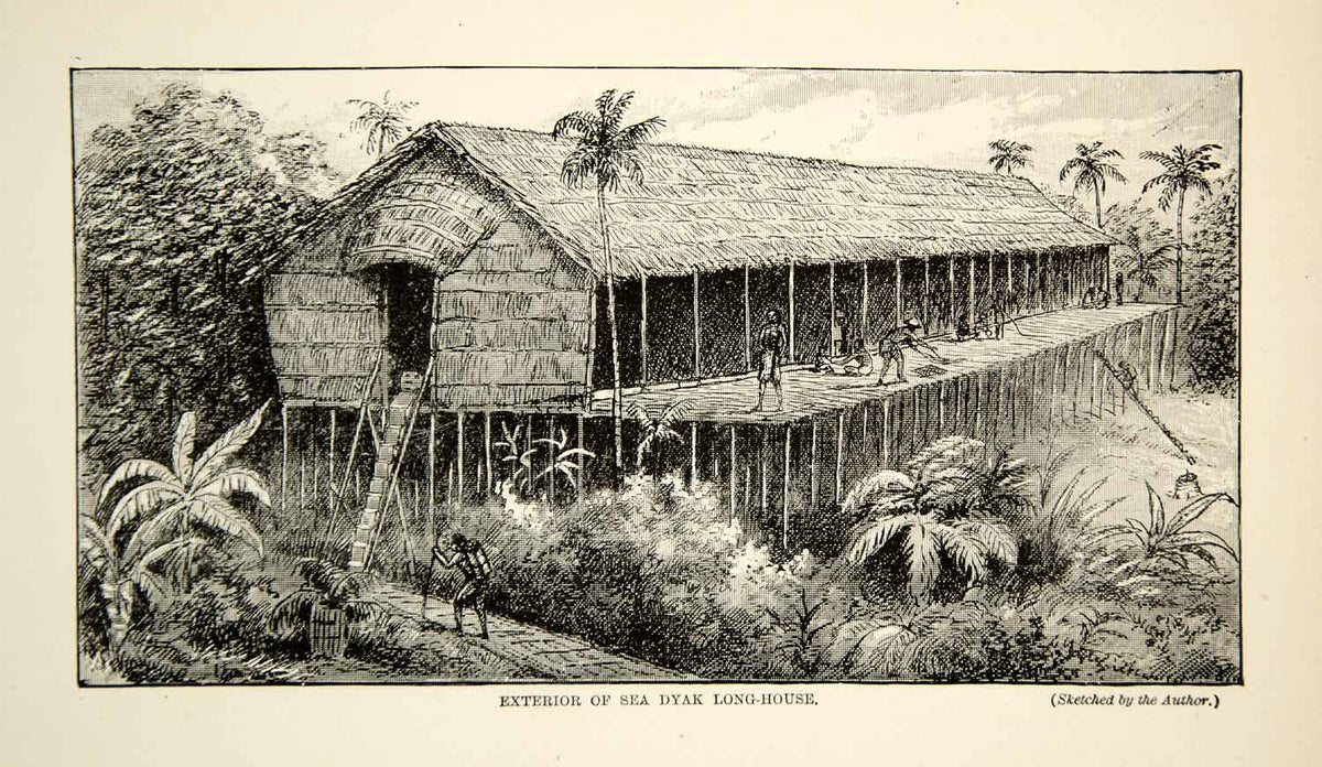 1910 Wood Engraving Sea Dayaks Iban Indigenous People Longhouse Home B ...