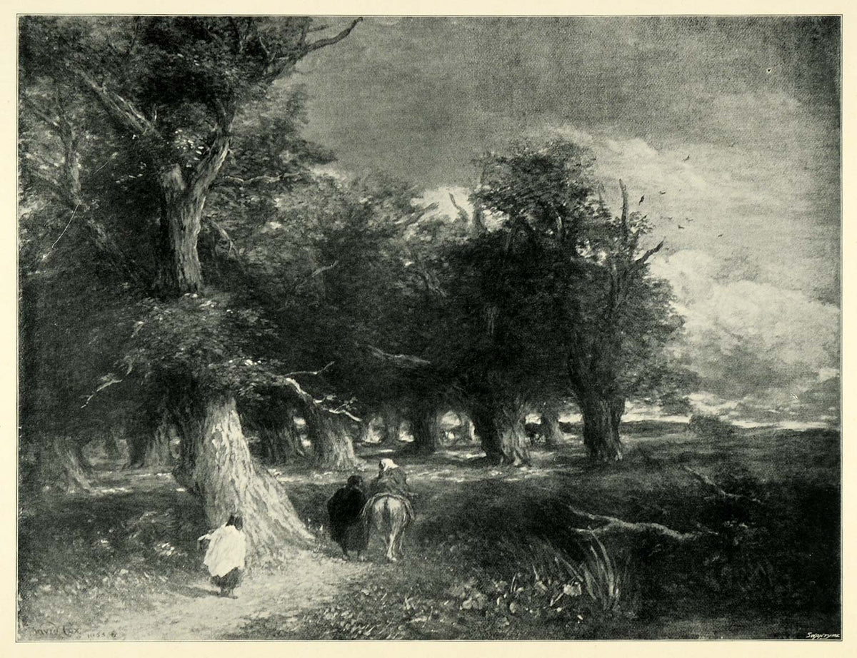 1897 Print Skirts Forest Landscape Pathway Travel Horse Scenery Trees ...