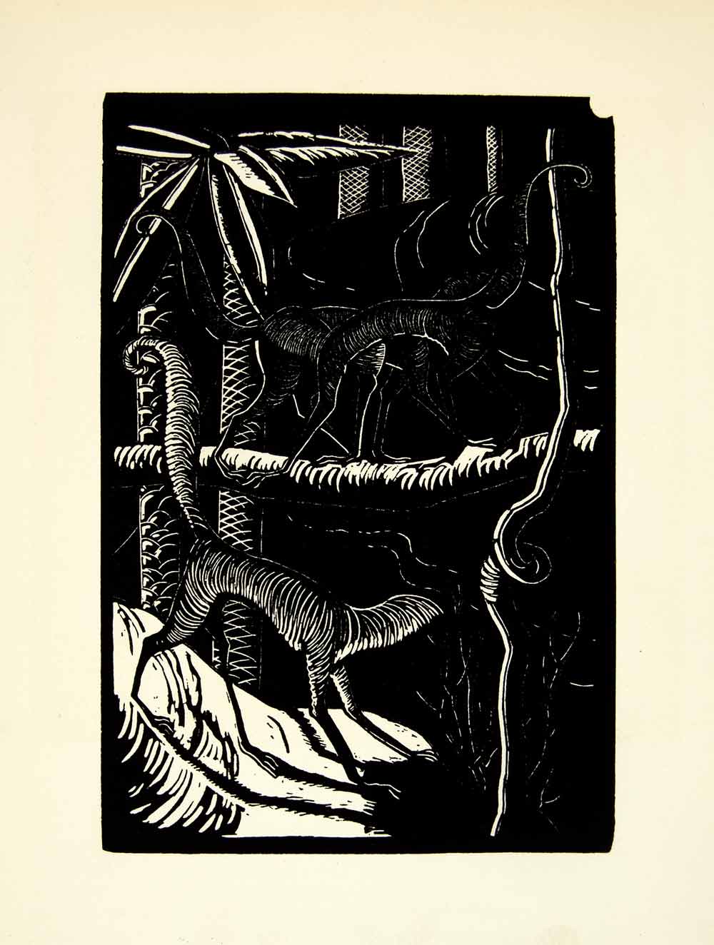 1924 Print Rupert Lee Spider Monkeys Animal Jungle Forest Tree Climb X ...