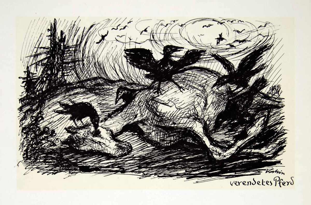 1969 Aquatone Print Alfred Kubin Art Dead Horse Decomposing Crows Wild ...