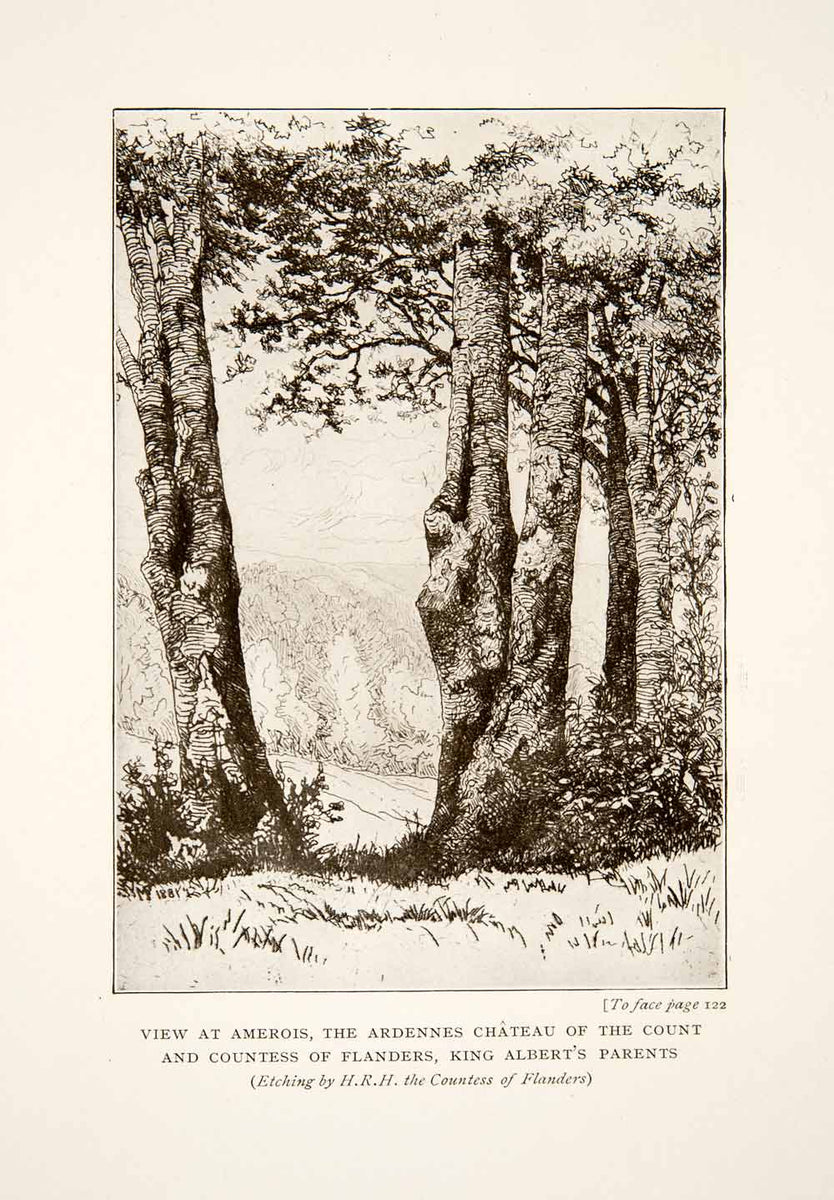 1914 Print View Amerois Ardennes Chateau Count Countess Flanders King ...