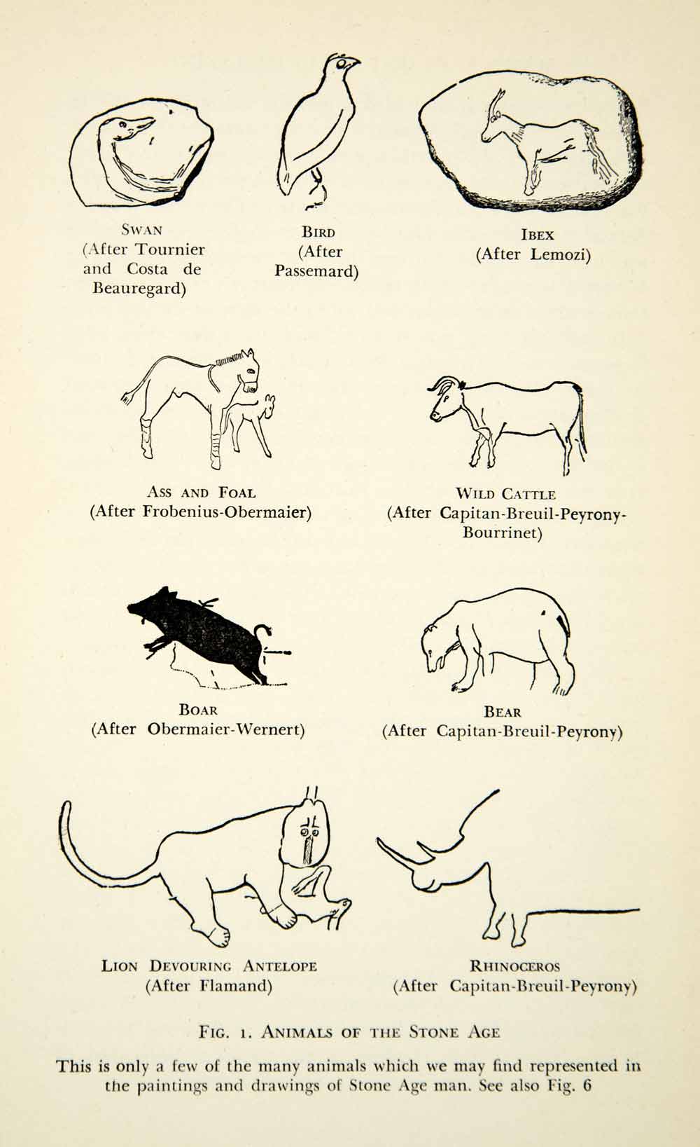 1938 Print Animals Stone Age Man Swan Bird Ibex Ass Foal Cattle Boar B ...