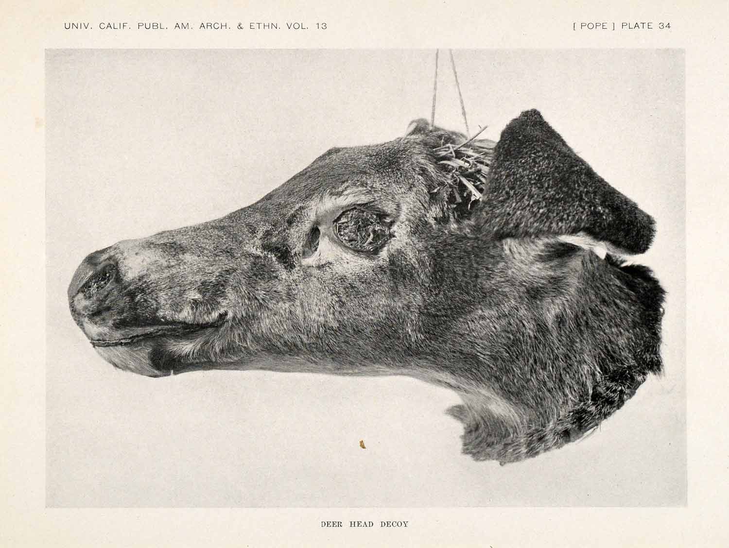 1923 Print Yahi Yana Deer Head Decoy Indigenous Tribe Native American ...