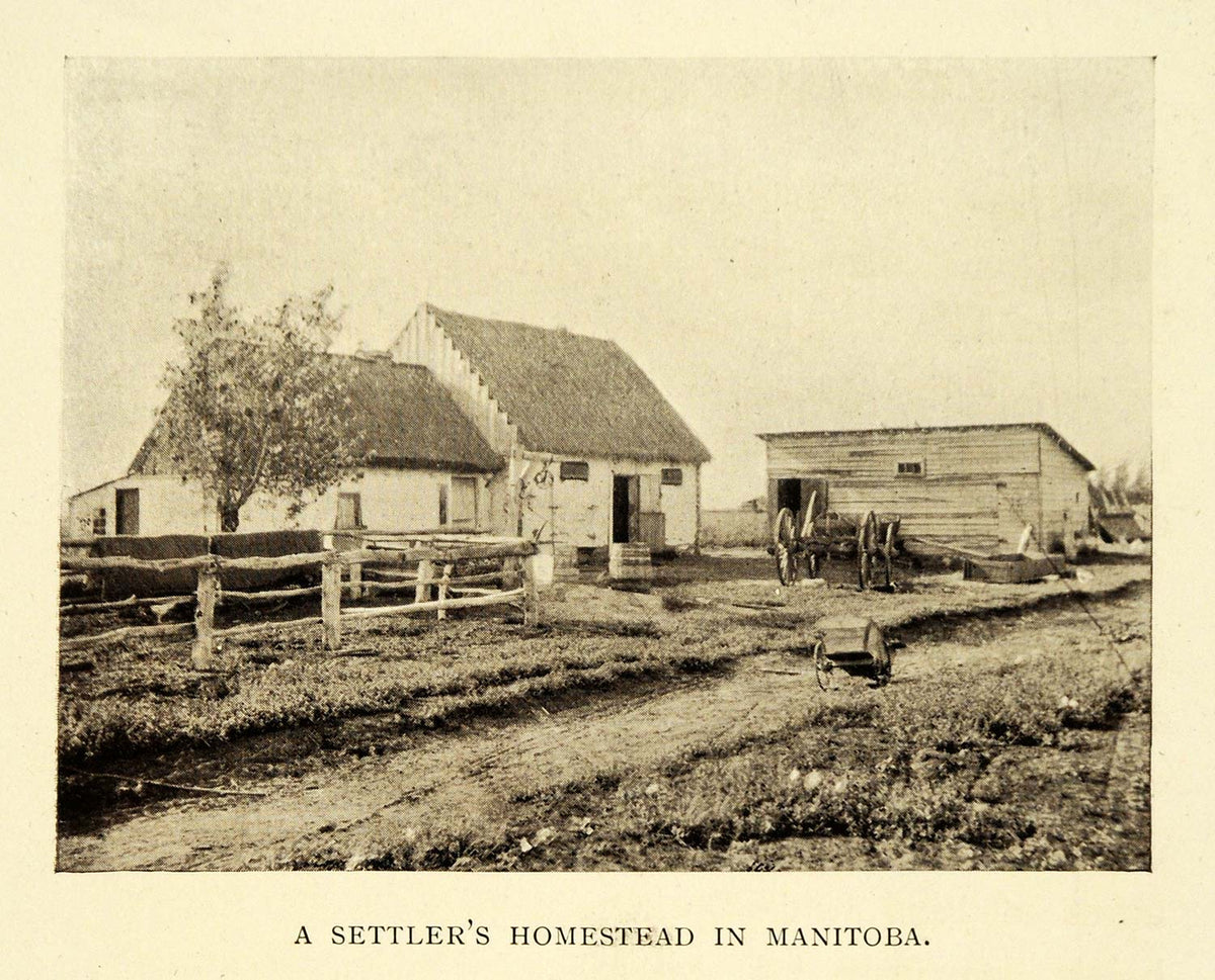 1911 Print Settler Homestead Manitoba Canada Farm Agriculture Cart Far ...
