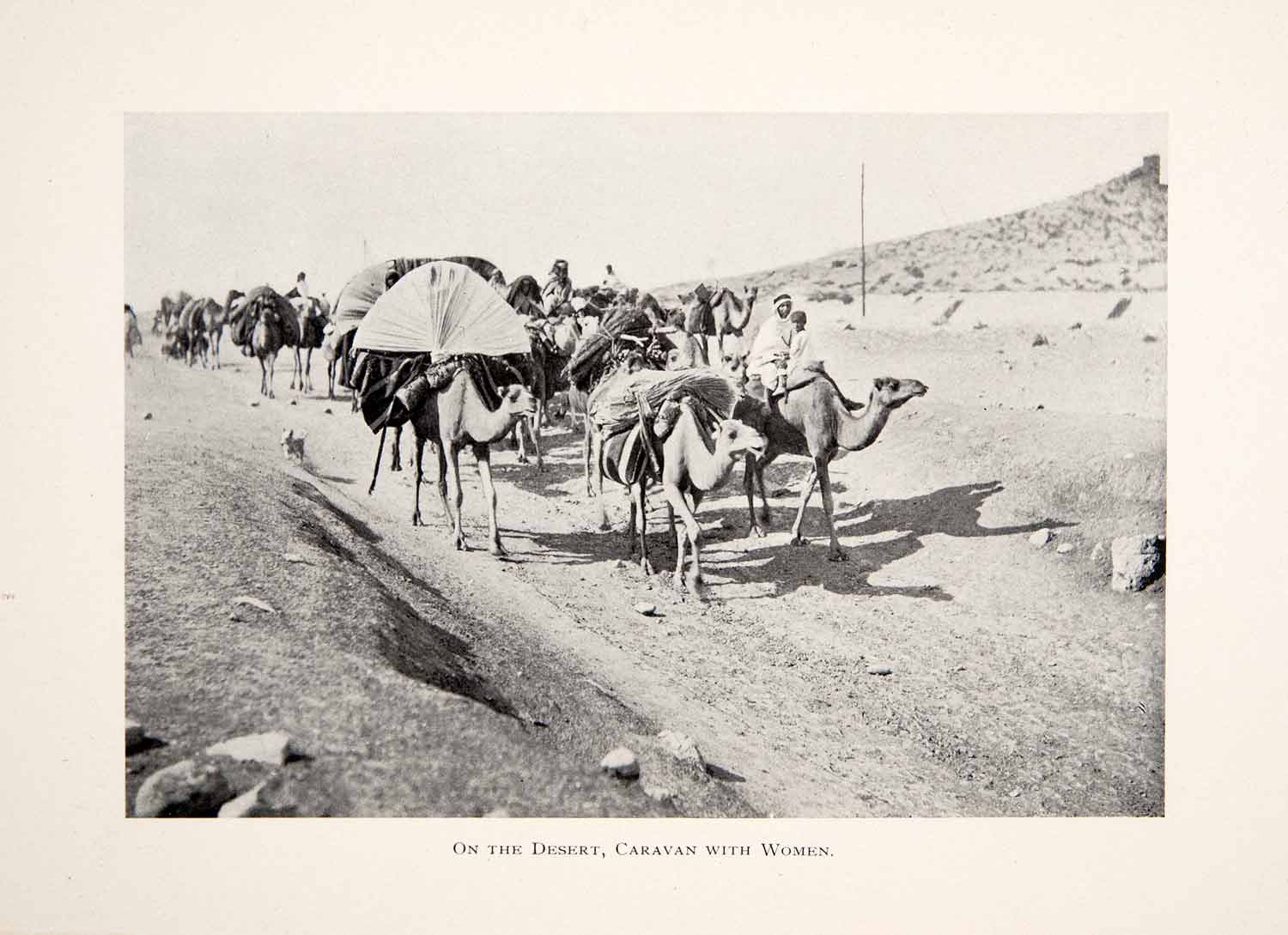 Sahara Desert Caravan