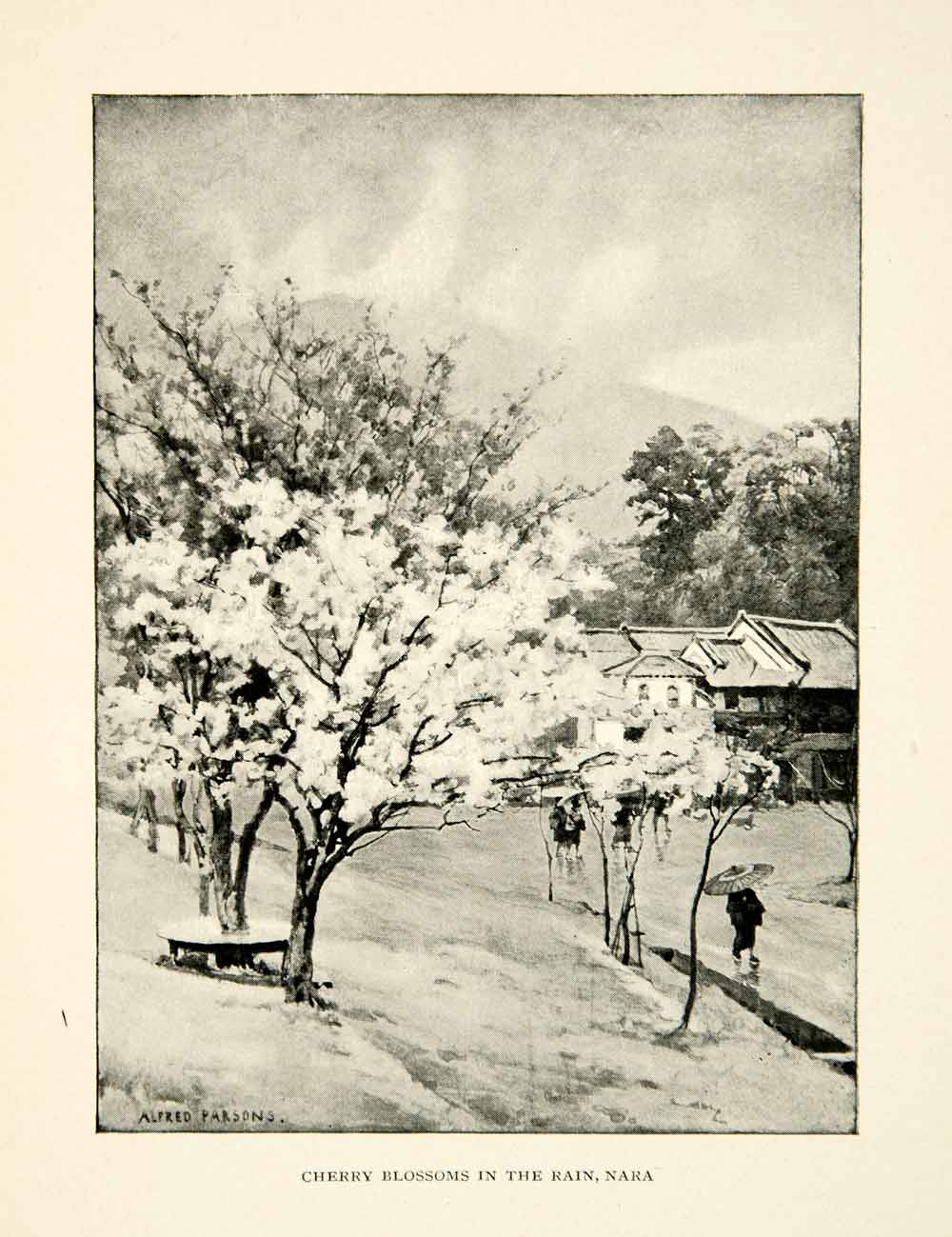 1896 Print Cherry Blossoms Rain Nara Alfred Parsons Japan Floral Natur ...