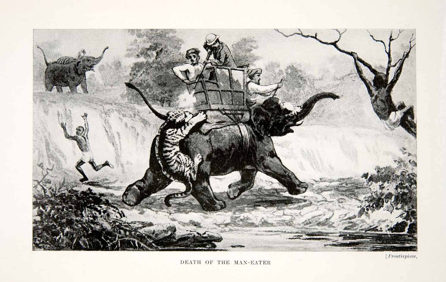 Tiger Attack Man On Elephant