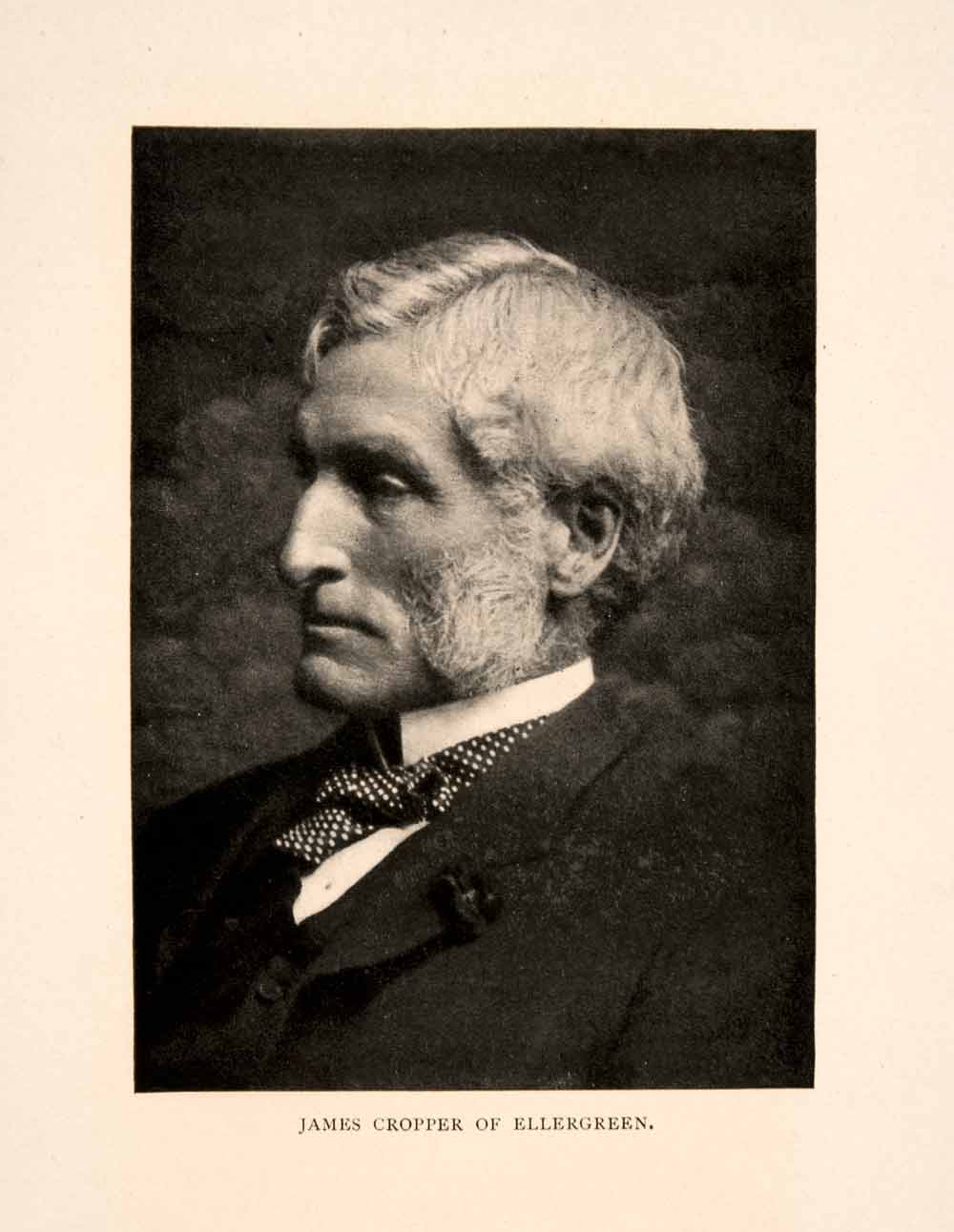 1903 Halftone Print James Cropper Ellergreen Laborer Papermills Englis ...