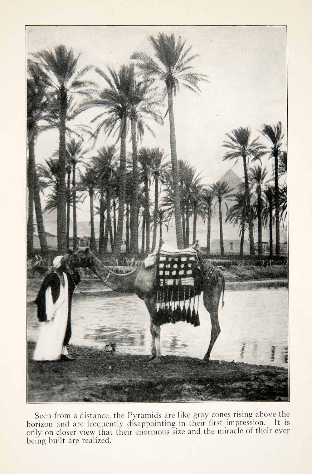 1923 Print Pyramids Pharoahs Consorts Palm Trees Camel Indigenous Peop ...
