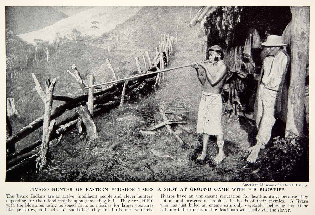1938 Print Jivaro Indigenous Peoples Hunter Blowgun Peru Ecuador South ...