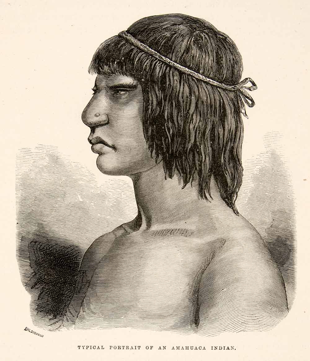 1875 Wood Engraving Portrait Amahuaca Indian Ethnic South America XGHC ...