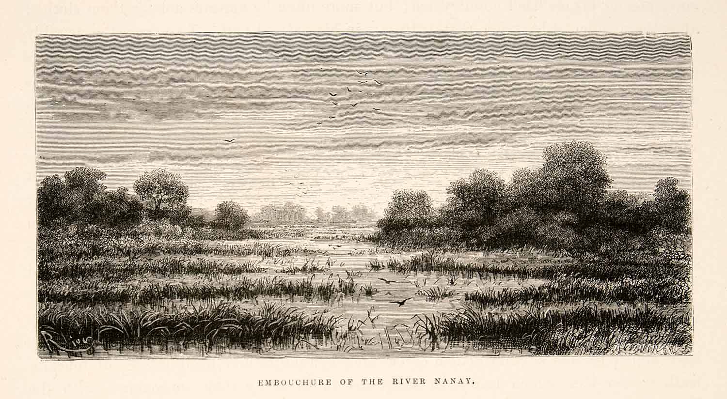 1875 Wood Engraving Embouchure River Nanay South America Rainforest XG ...