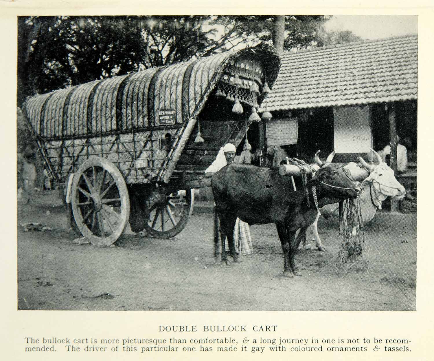 1929 Print Cart Sri Lanka Ceylon Cart Bullock Traditional Transportati ...