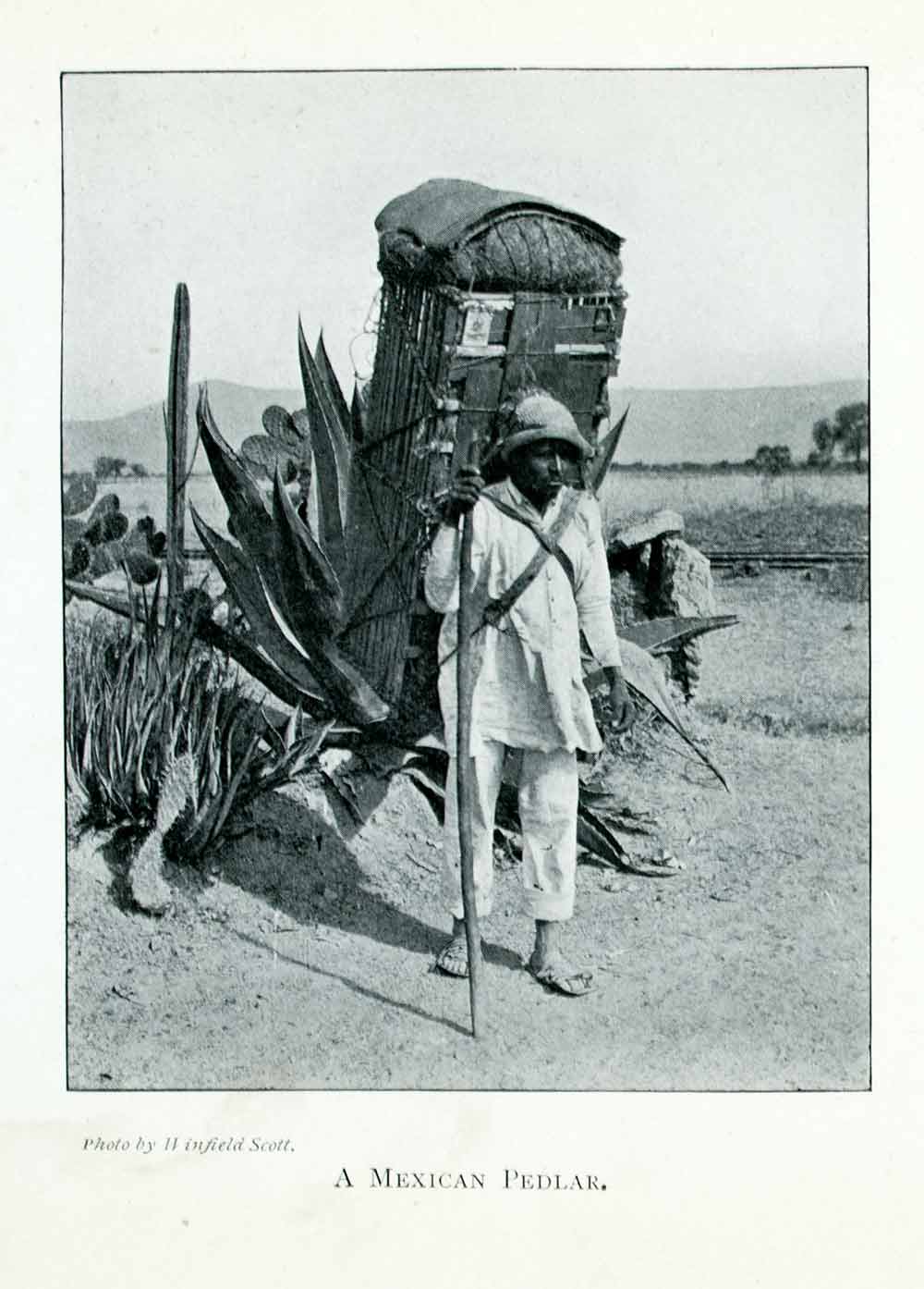 1907 Print Hispanic Peddler Mexican Merchant Mexico Desert Walking Sti ...