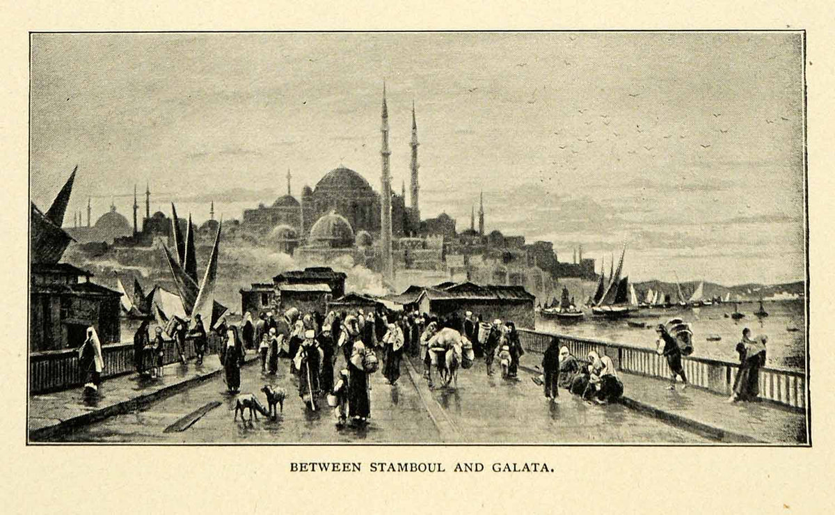 1901 Print Stamboul Galata Istanbul Turkey Bridge Hill Buildings Seapo ...